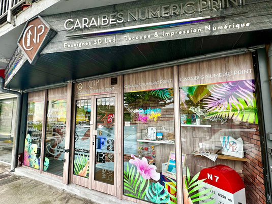 CARAIBES NUMERIC PRINT